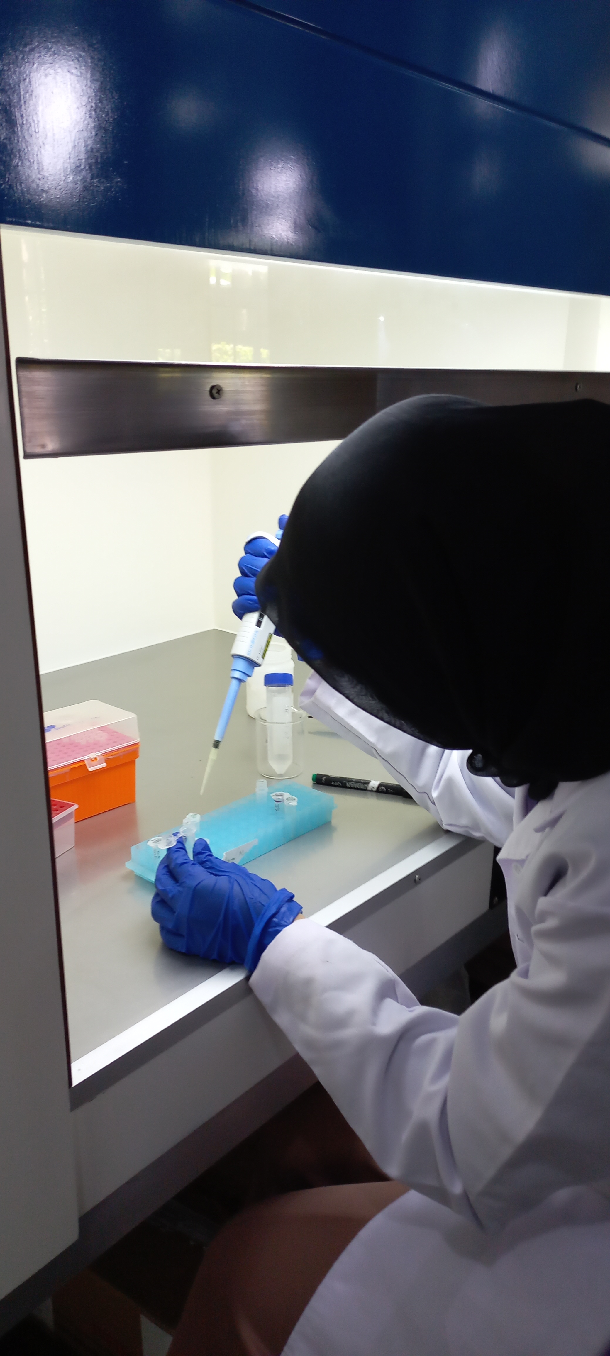 Diagnostic – Biomolekul Data Sains (BIOMODS)