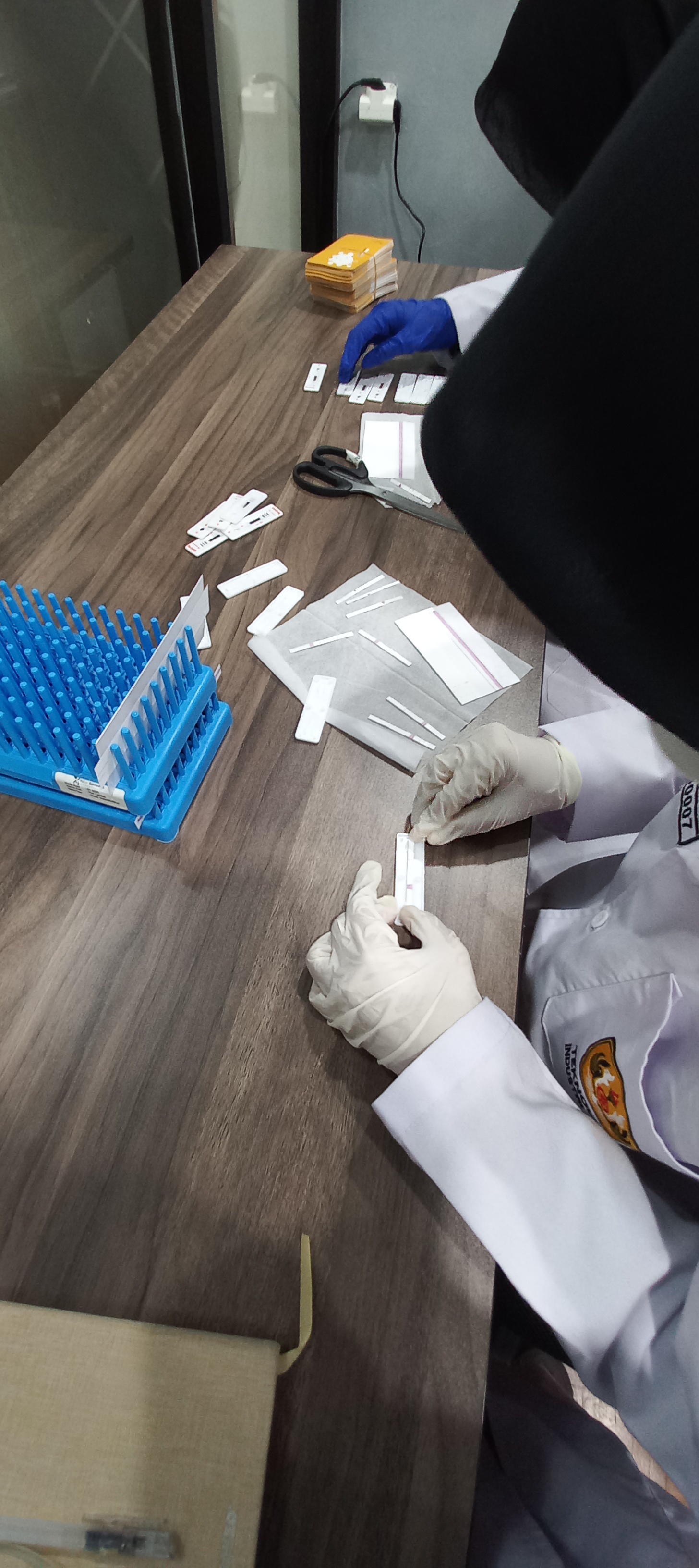 Diagnostic – Biomolekul Data Sains (BIOMODS)