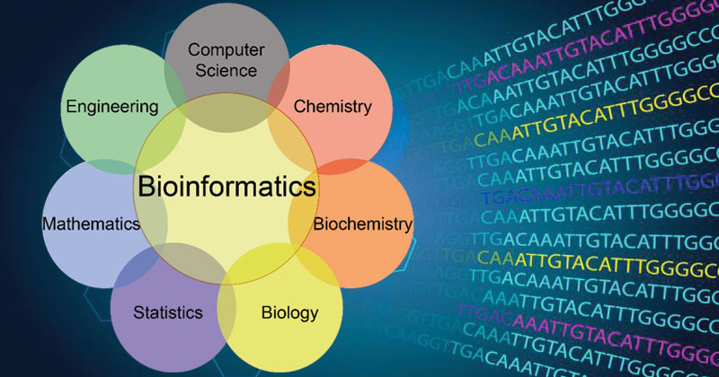 Services – Biomolekul Data Sains (BIOMODS)